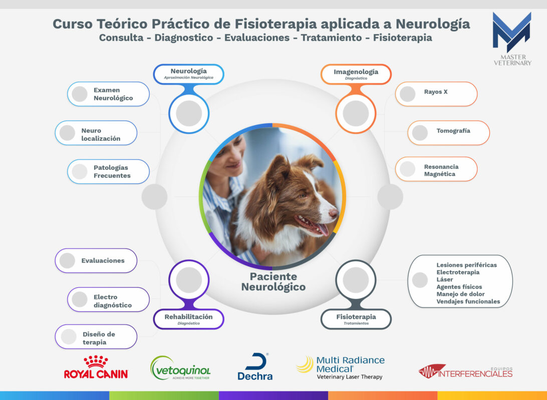 Curso Práctico Fisioterapia aplicada a Neurología